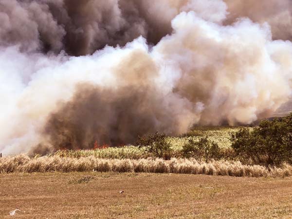 A&B, Fire Department team up against wildfire threat | News, Sports ...